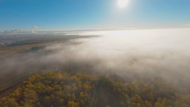 Осенняя рапсодия. Октябрь 2022