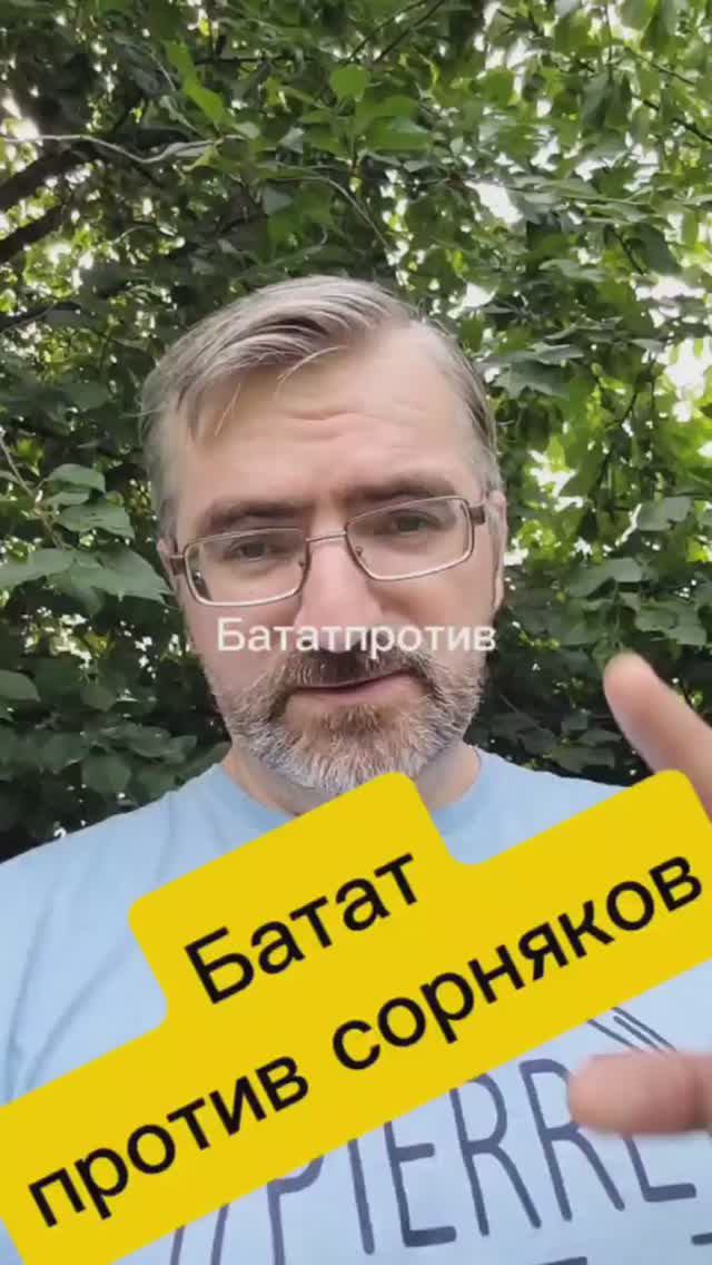 БАТАТ ПРОТИВ СОРНЯКОВ