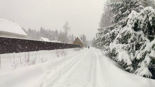 Черкасово 5 января 2022 Brian Eno