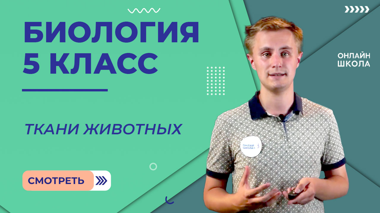 Ткани животных. Видеоурок 14. Биология 5 класс