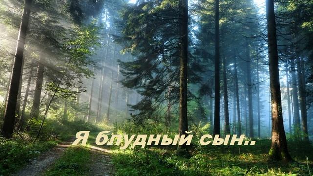 Я блудный сын..