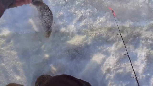 Трейлер канала.