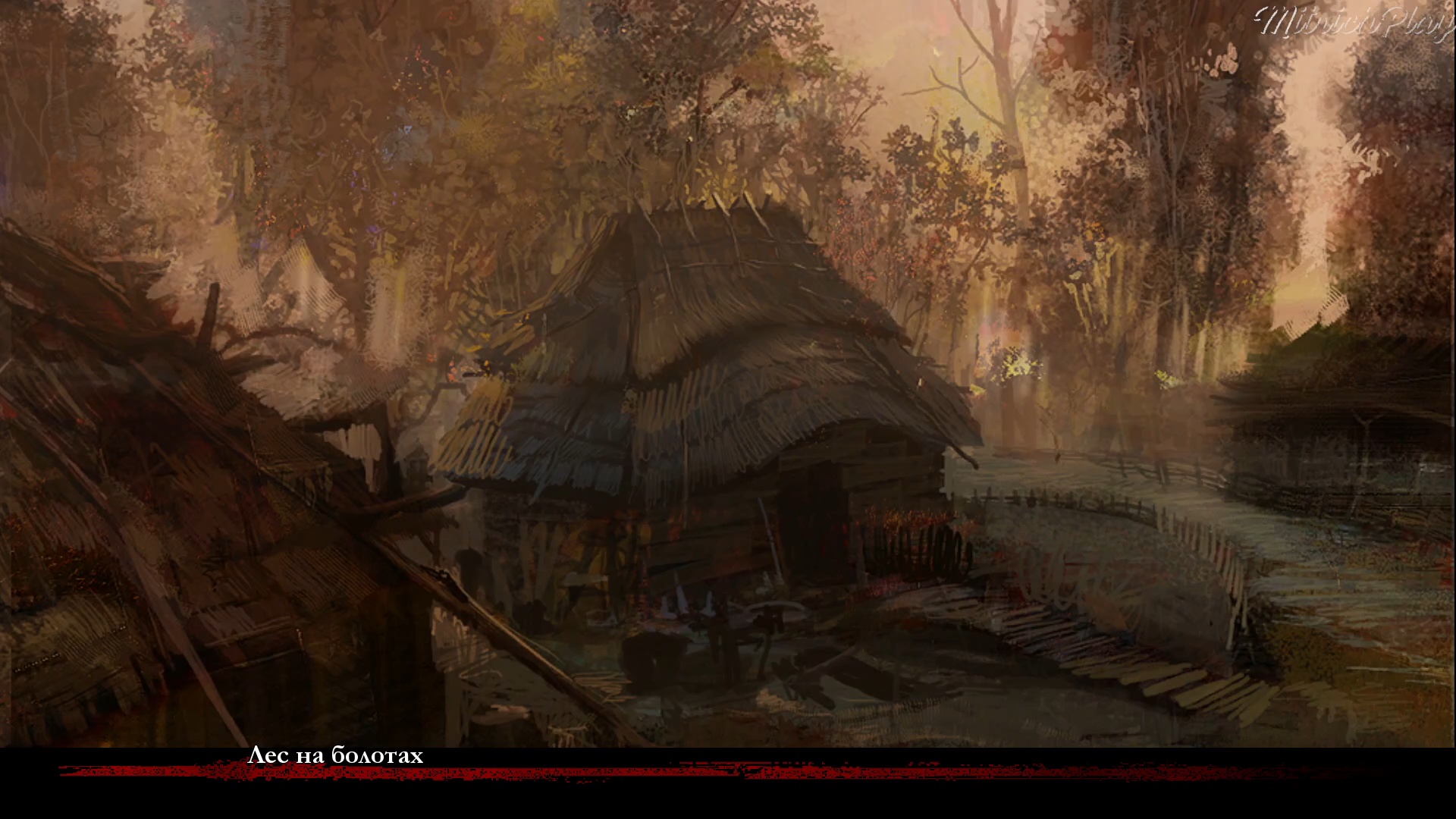 Лес на болотах ►Глава 2► The Witcher #11