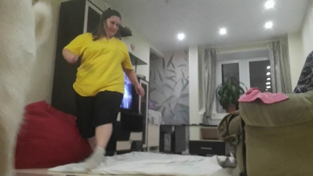 Игры с собаками / Нос / Самоконтроль