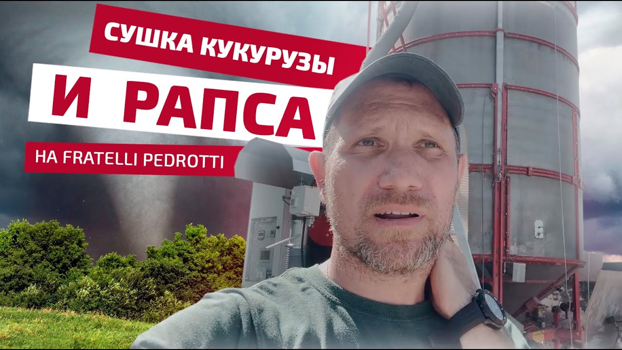 Сушка кукурузы и  рапса на мобильной зерносушилке Fratelli Pedrotti