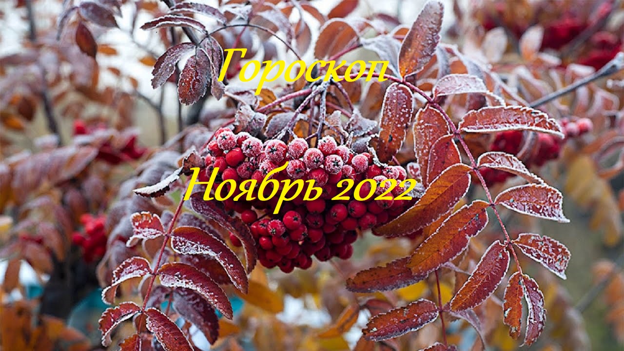 #Аврора #гадание Раки на ноябрь 2022.mpg