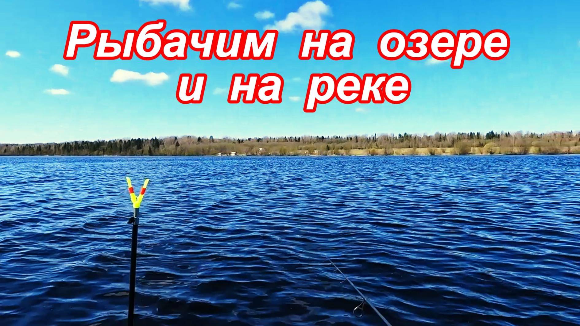 На озере опять ничего не поймали. Пришлось идти на реку, там удачно отловились.