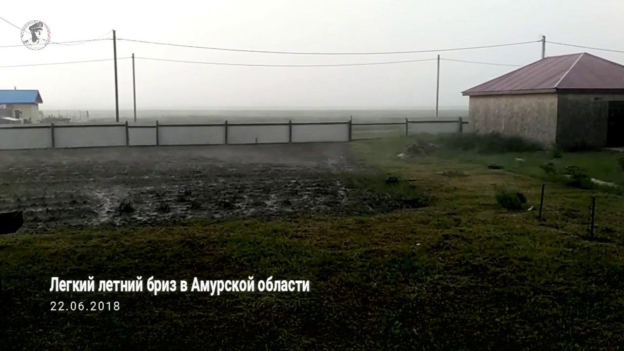 Лёгкий летний бриз в Амурской области