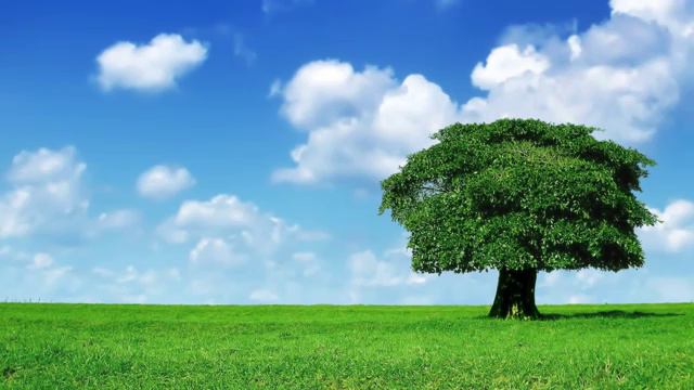 [1 Час] Исцеляющая музыка для медитации на Тамбуру - Сердечную чакру | Звуки Таанпуры