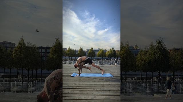 Виньяса Йоги - Собака мордой вниз