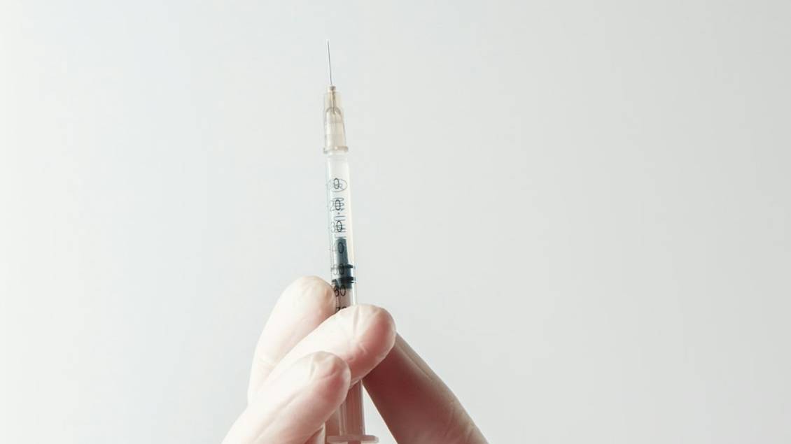 вакцинация щенков и взрослых собак