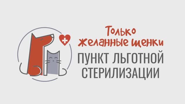 Только желанные щенки и котята
