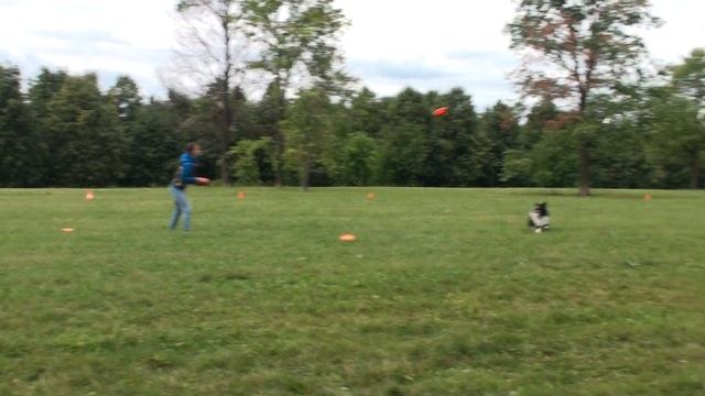 ЗахватДиски Комбо Анастасия и Аксель.mp4