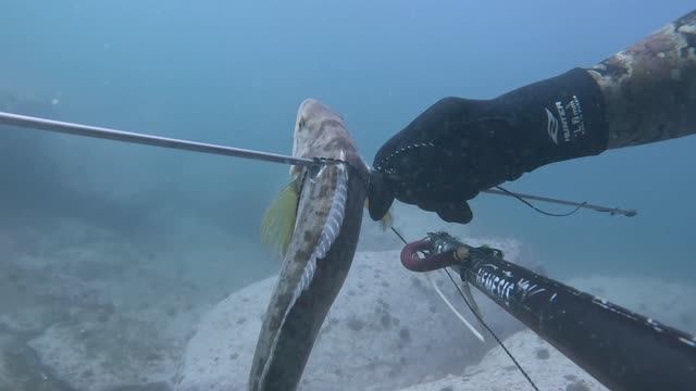 Осенний Терпуг