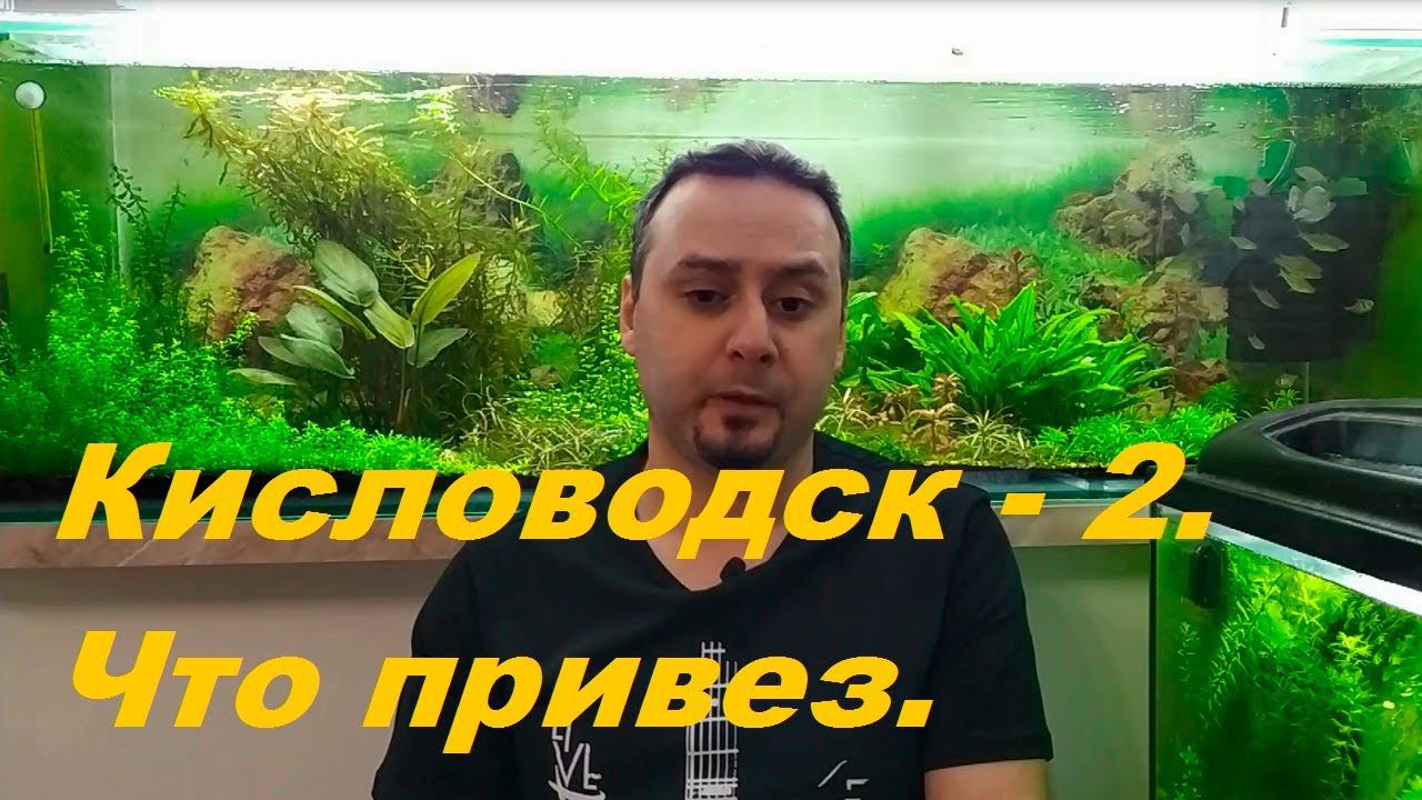 Репортажи с полей. Кисловодск - часть вторая. (Архив от 18.06.2022)