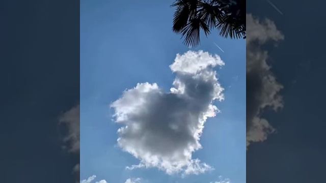 Медитация для детей «Путешествие в волшебную страну»