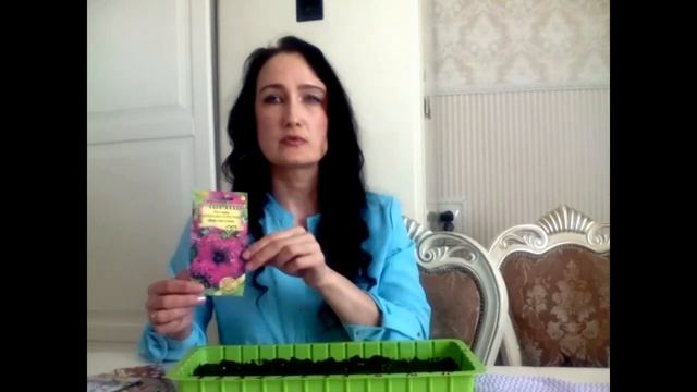 Петуния от П до Я РОЛИК1  ПОСАДКА.mp4