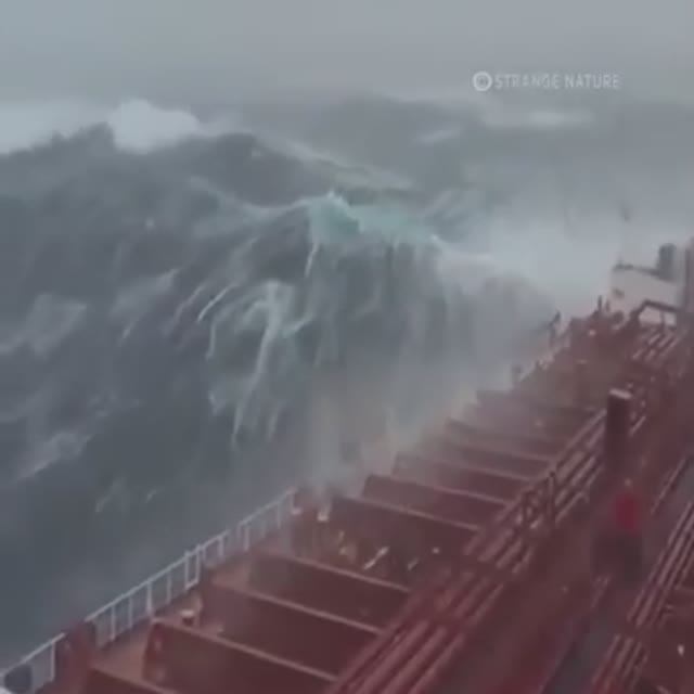 Плавание в свежую и штормовую погоду - Суда на гигантских волнах - Топ 10