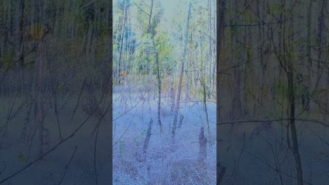 Пустые небеса молчат... (Стихи Зинаиды Миркиной)