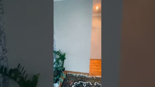 Купить квартиру в Барнауле| Купить  Династия24 Барнаул #квартира #продажаквартиры