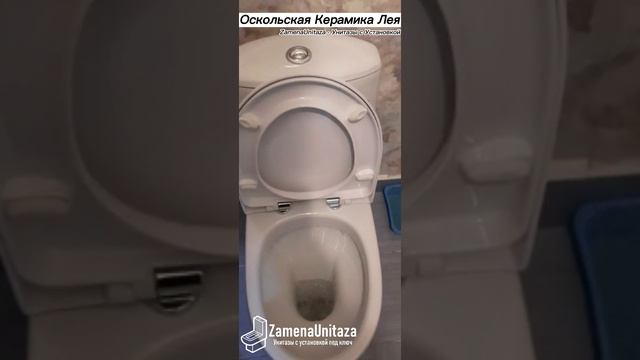Замена унитаза с установкой под ключ -  Оскольская Керамика Лея Люкс Косой Выпуск от ЗаменаУнитаза