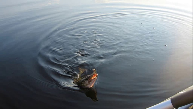 Божественный невидимый банк.