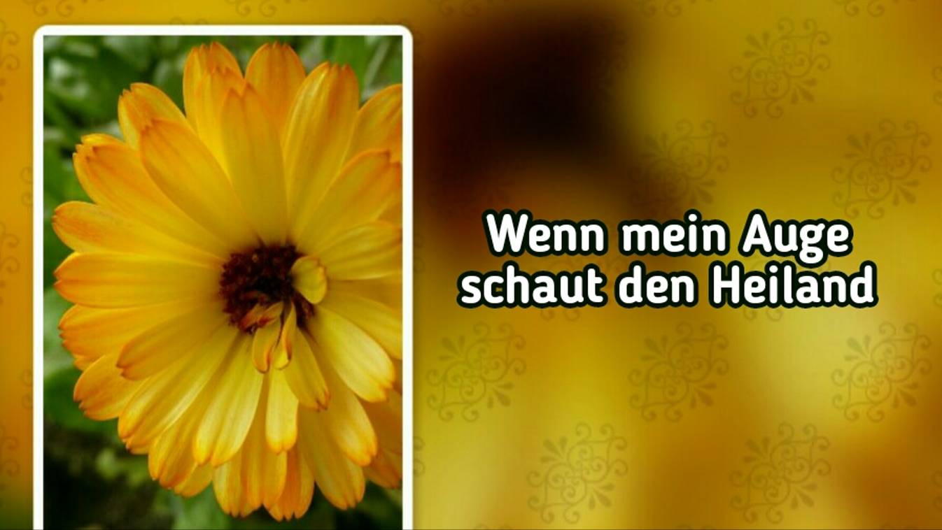 Wenn mein Auge schaut den Heiland (-)