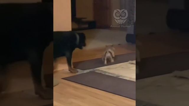 - Моя очередь играть!