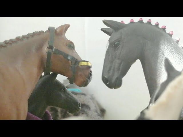 Сериал шляйх Зона заключительная серия