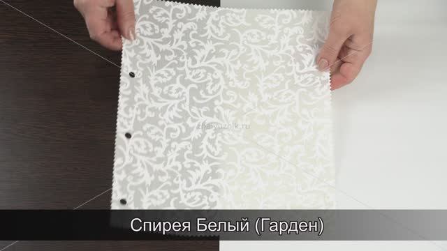 Спирея Белый (Гарден)