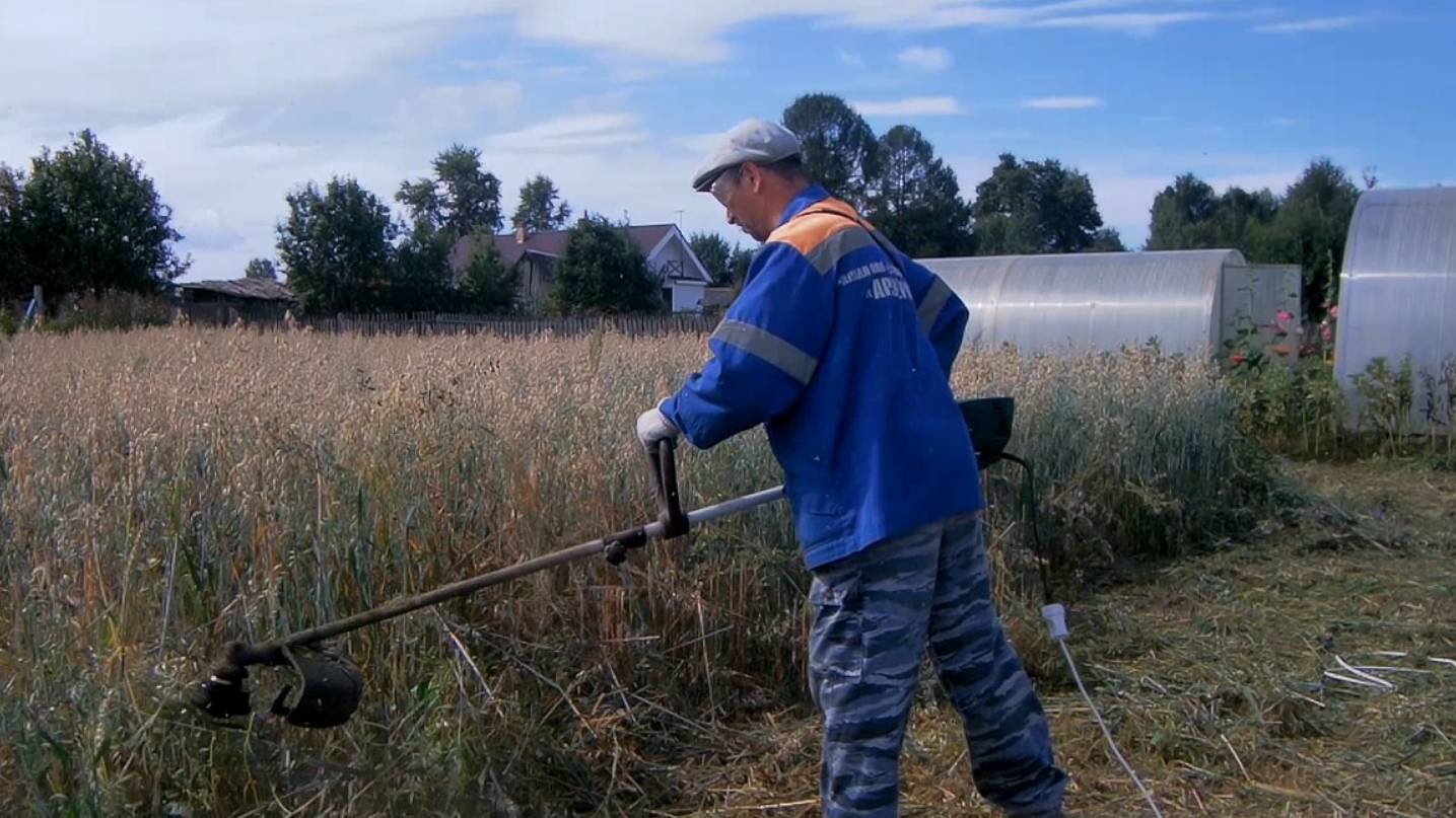 Севооборот зачем и почему мы это делаем