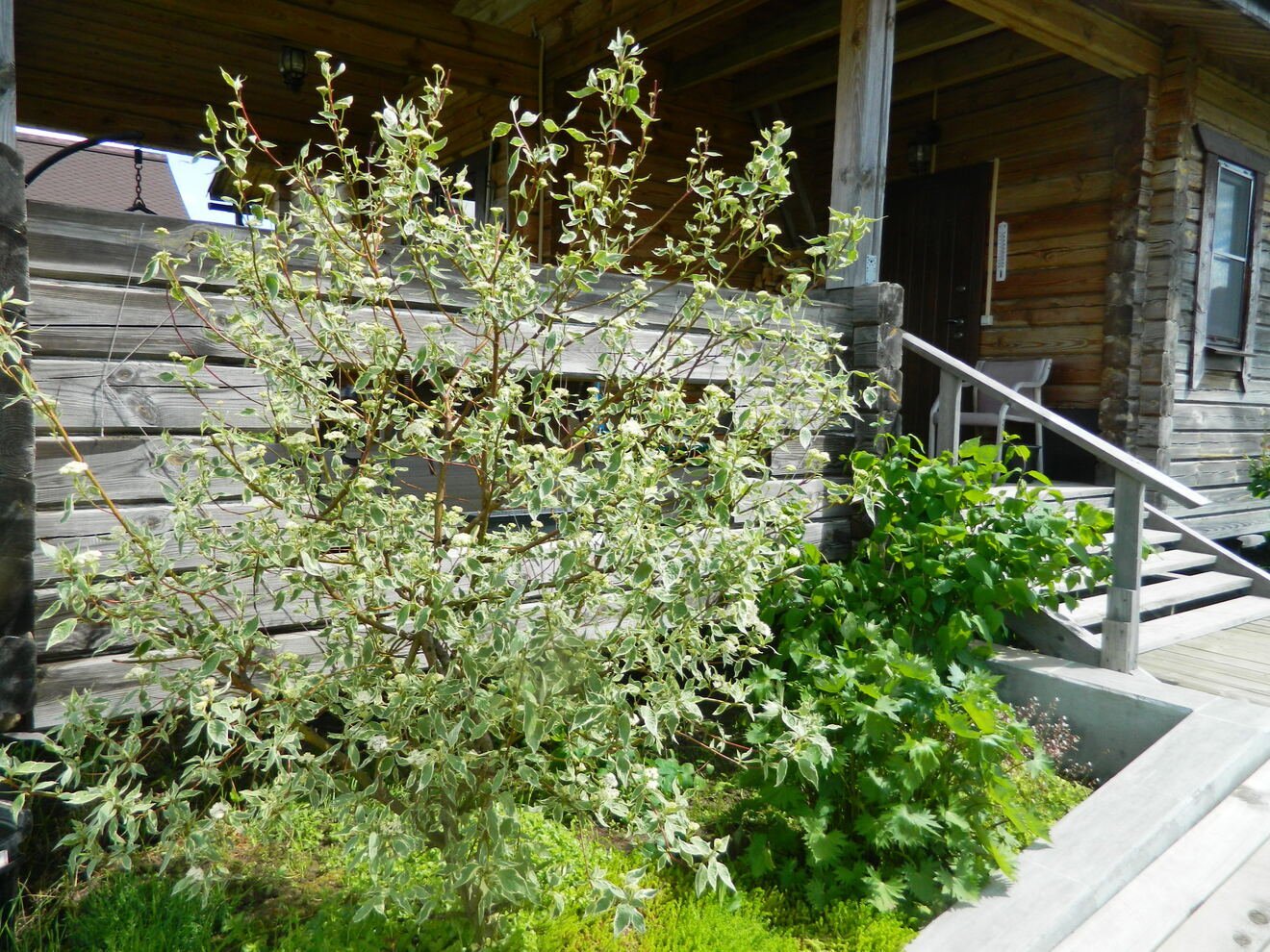 Йога-дом 2022 г.