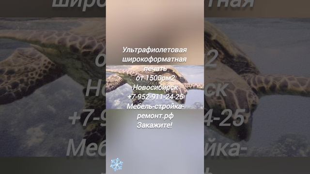 УФ uv печать ультрафиолетовая широкоформатная печать декоративные листовые материалы Новосибирск
