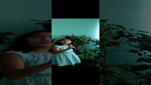 video-88e8cd25c0015185f79f482aaed88080-V.mp4
