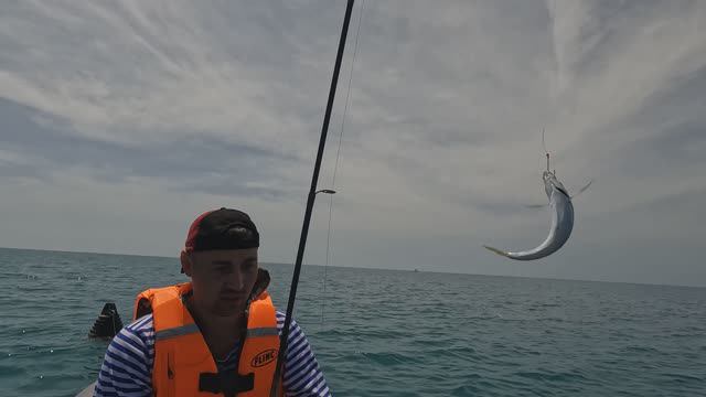 Автокемпинг "Берег мечты". Джубга. Морская рыбалка