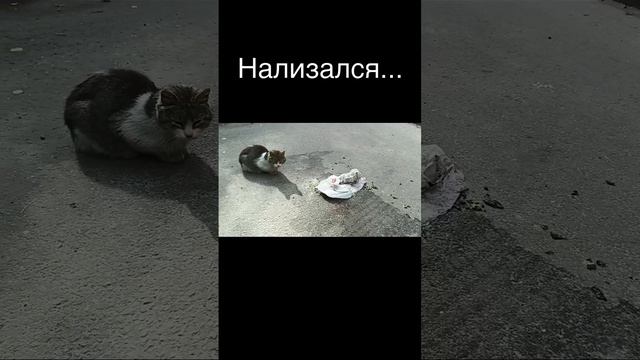Нализался...