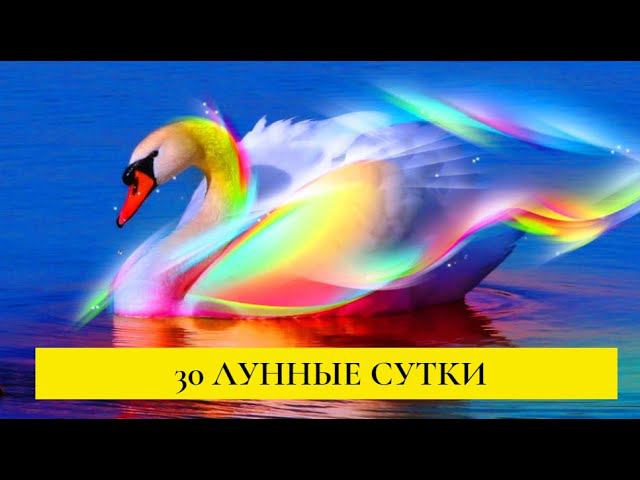 30 ЛУННЫЕ СУТКИ.  1 ЛУННЫЕ СУТКИ И ДР. В  НАЧАЛЕ, ВНИЗУ⬇️⬇️⬇️