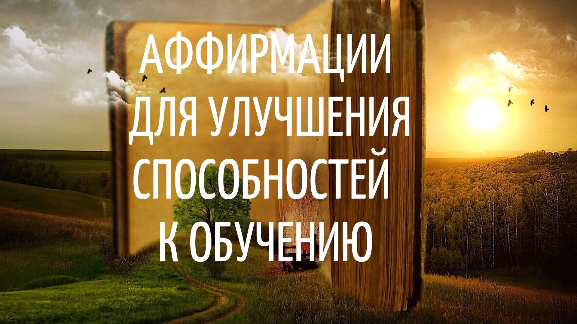 Аффирмации для улучшения способностей к обучению.mp4