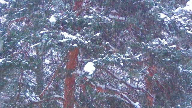 Медитация 171