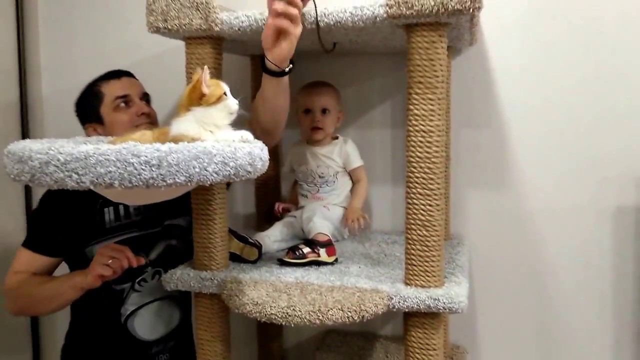 Котодомик не только для котов