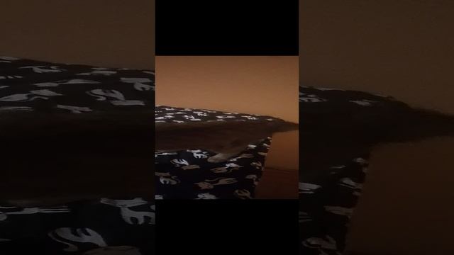 01.08.2023 вторник
Набережные Челны
Кошечка Василиса-краса