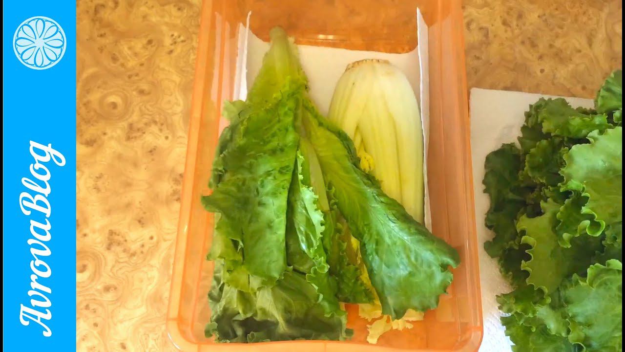 Как я храню листья салата