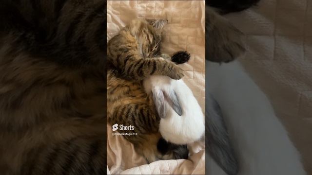 Спокойной ночи!Explore the world  Gute Nacht.