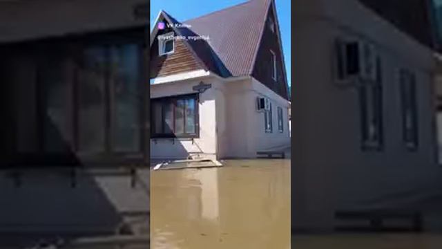 Апрель. Орск. Наводнение. Трагедия людей и  животных