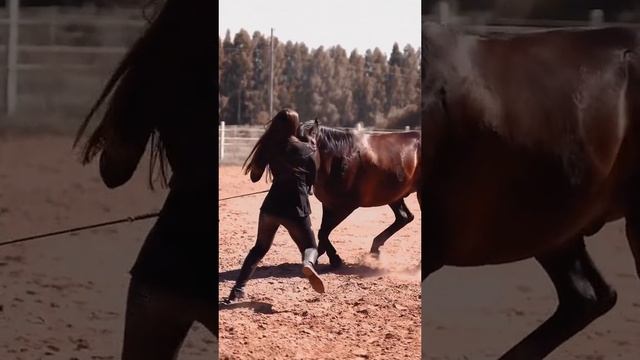 Девушка на коне