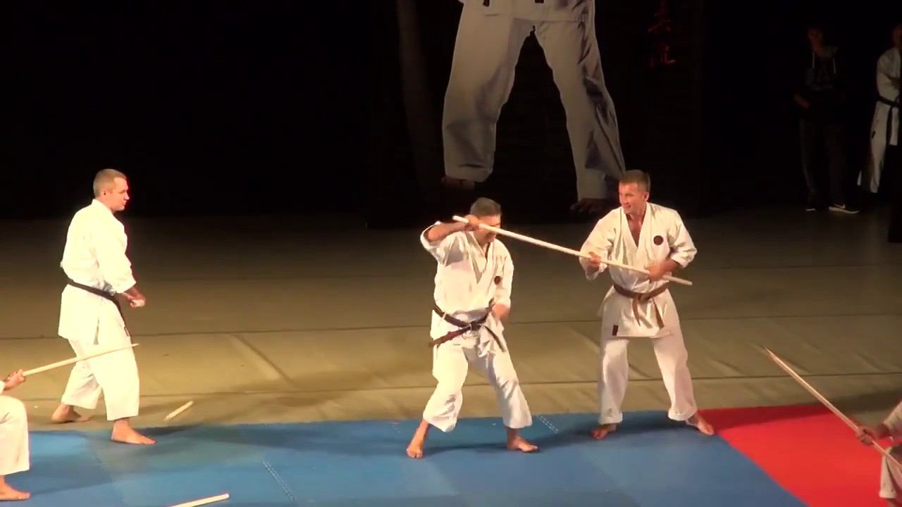 Sensei Viktor Panasyuk, Euro Asian Gashuku, demonstration.