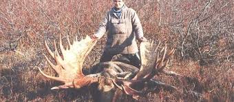 Охота на лося с лайкой.Добыл быка.Разделал лося за 30 мин.