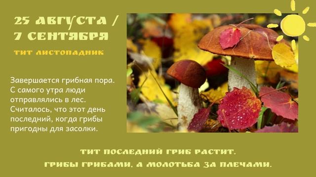 Август-Сентябрь. Народный месяцеслов. ч. 28.