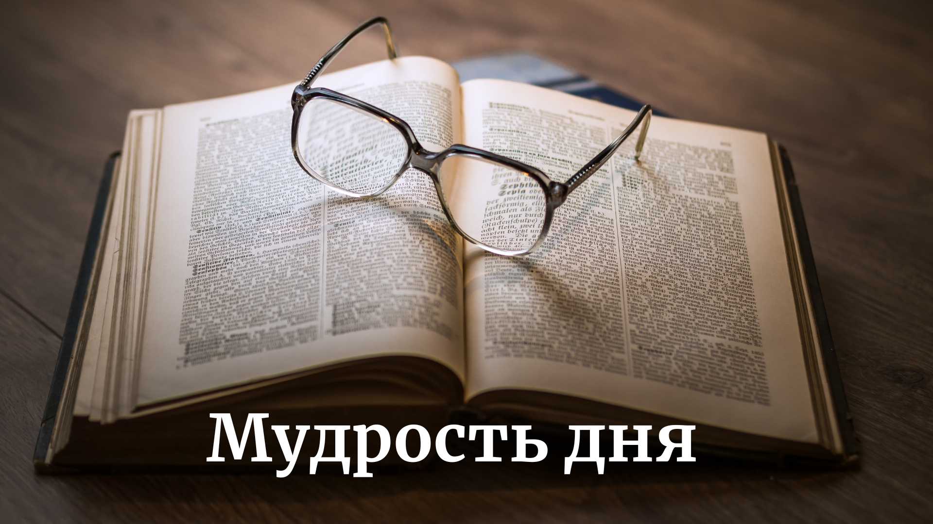 Мудрость дня