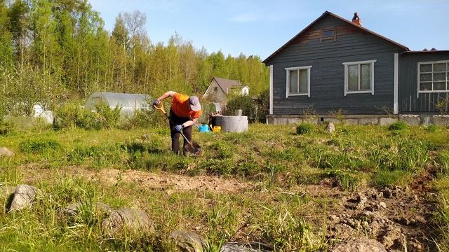 Копаем на грядке. Конец весны. 2023.05.20